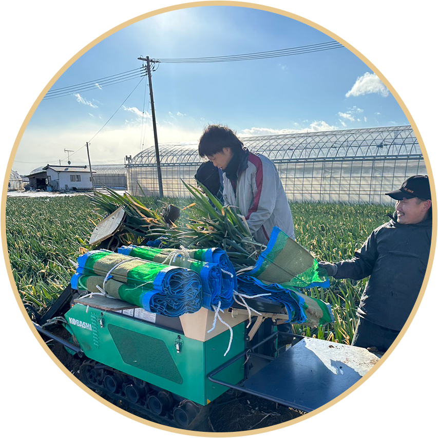 パスカファーム立沼｜宮城県東松島の野菜・米農家：農業を笑顔に、農業で笑顔に